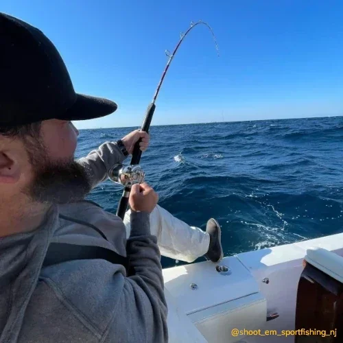 Best Tackle for Tuna Chunking - TackleDirect