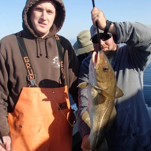 Cod Bait Bite | TackleDirect