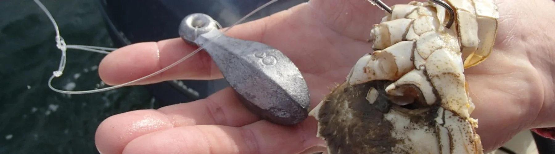 Tog Rigs 101 | TackleDirect