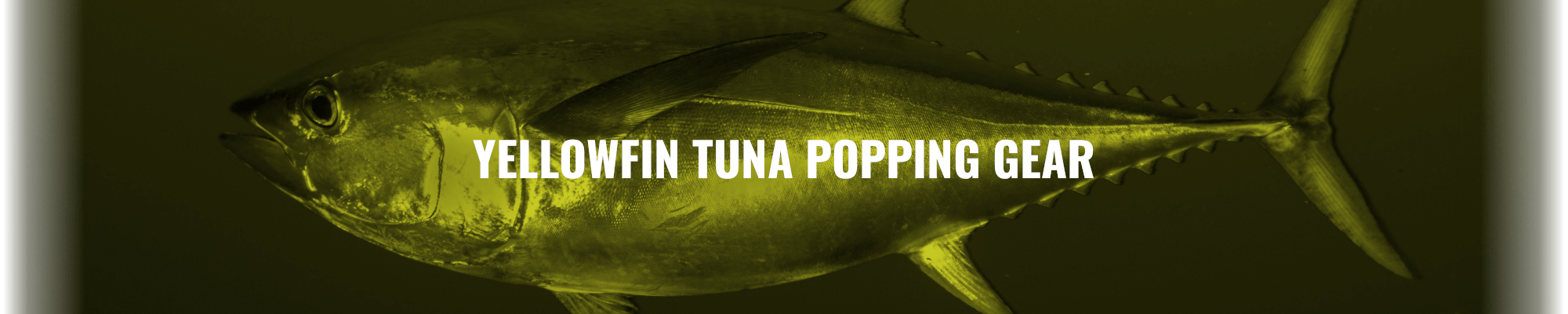 Fishing Tackle, Lures, Reels, Rods, Gear, Fly | TackleDirect