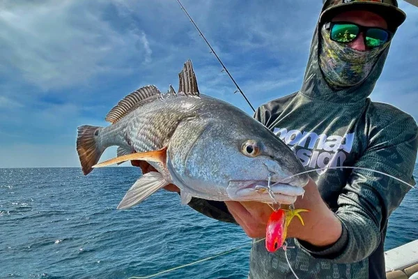 What Lures Are Best for Redfish? - TackleDirect