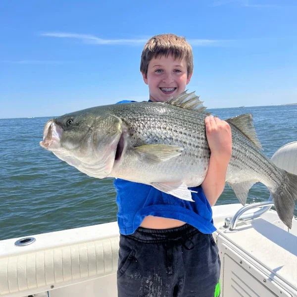 Landing Striped Bass in the Northeast - TackleDirect
