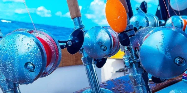 Best Sailfish Reels & Rods | TackleDirect