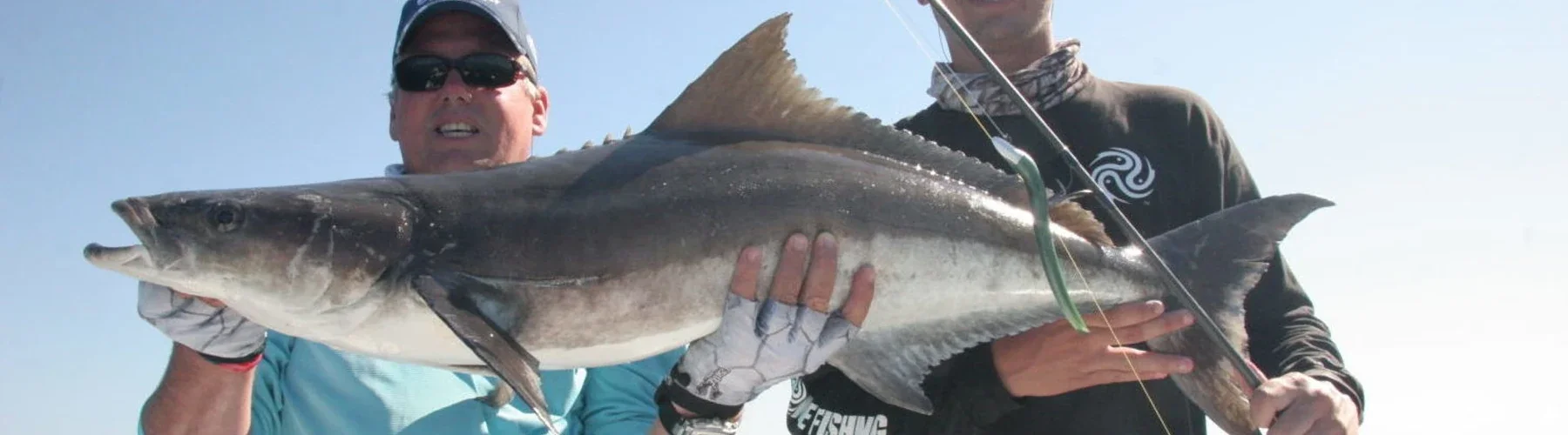 Chasing Cobia | TackleDirect