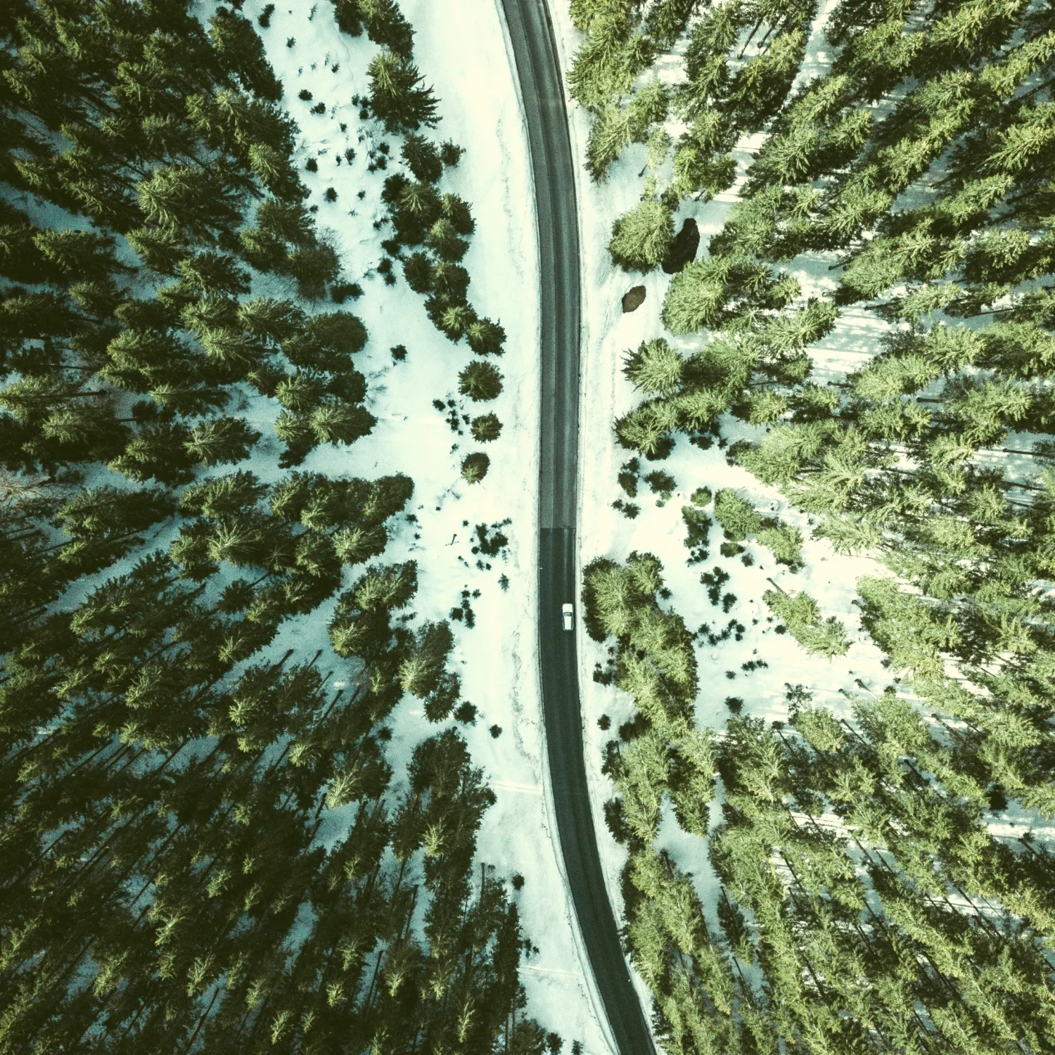 Cursor | Web Design & Development - SEO