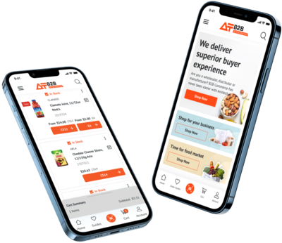 eCommerce Development Agency | Amitech Group