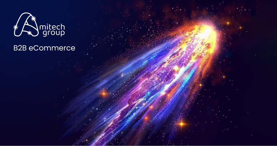 B2B eCommerce Development Agency • Amitech Group