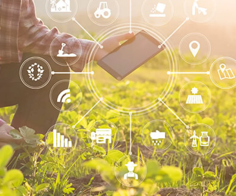 Maalexi: Conducting Cross-Border Trades, Safer, Faster and Cheaper.