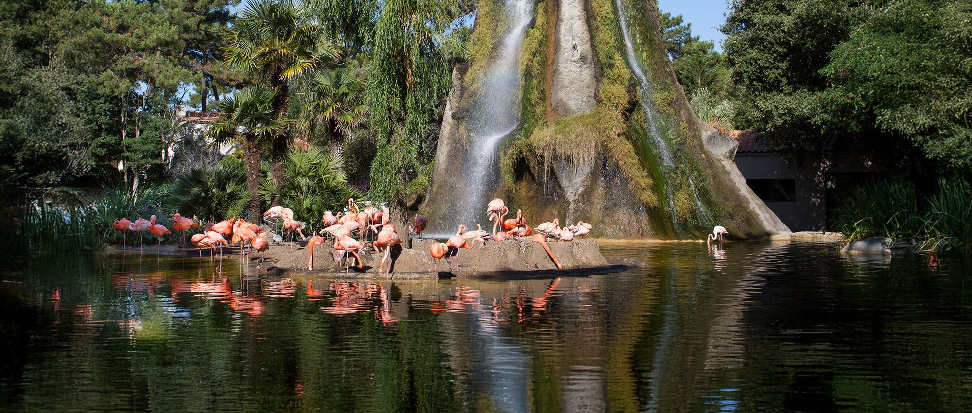 Zoo de La Palmyre : visite incontournable en Charente-Maritime
