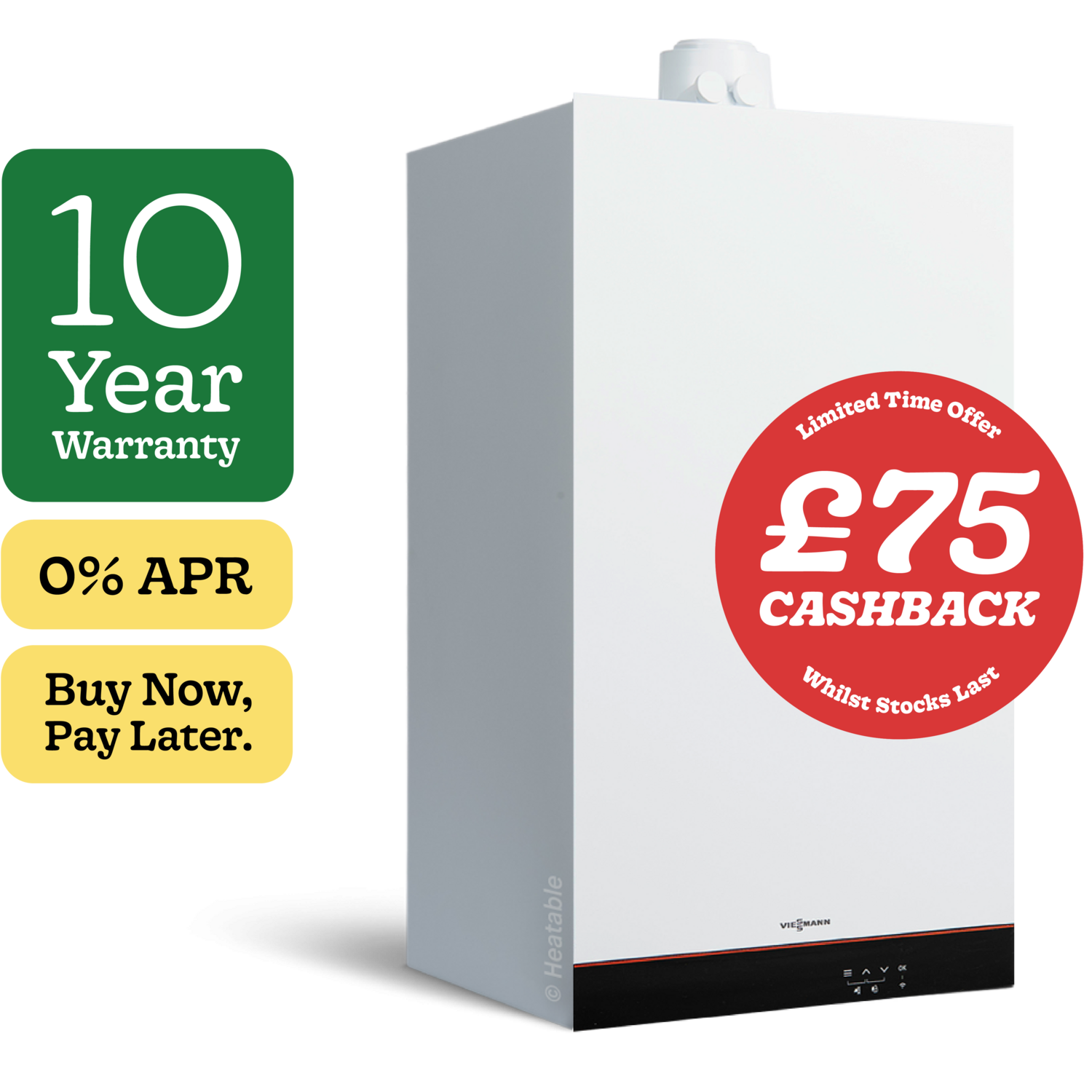 Viessmann Vitodens 050-W Combi Boiler