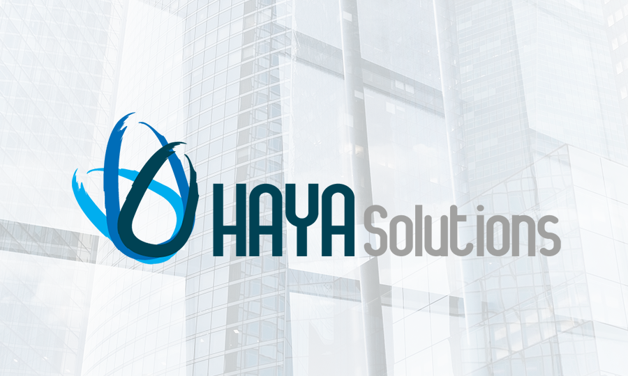 Business Management Consulting Firm | Haya Solutions - Haya Solutions Inc.