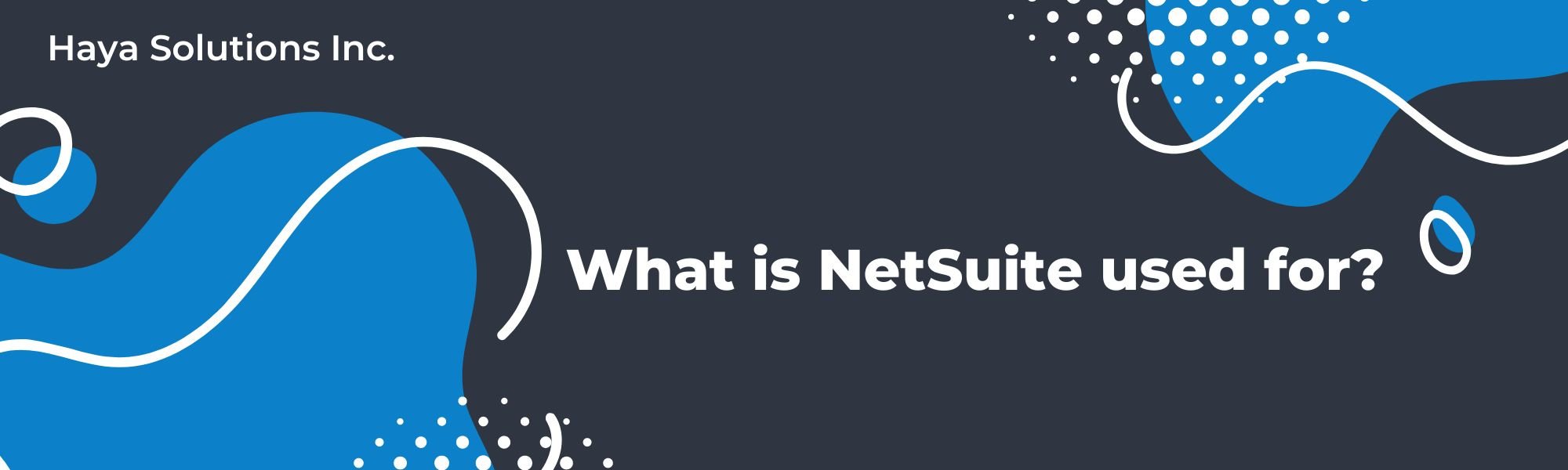 What NetSuite is used for? - Haya Solutions Inc.