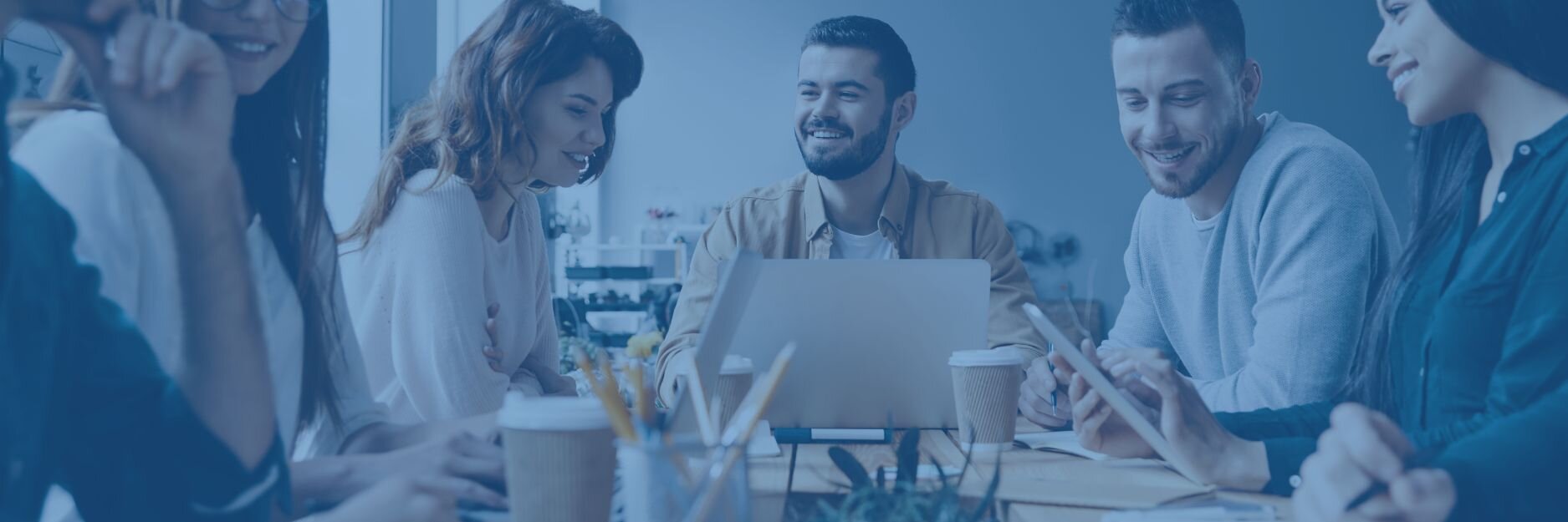 NetSuite Project Management - Haya Solutions Inc.