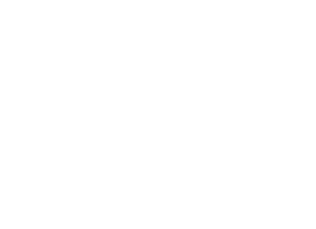BUSCH LIGHT - Busch Nascar 2024
