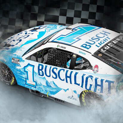 BUSCH LIGHT - Campaigns