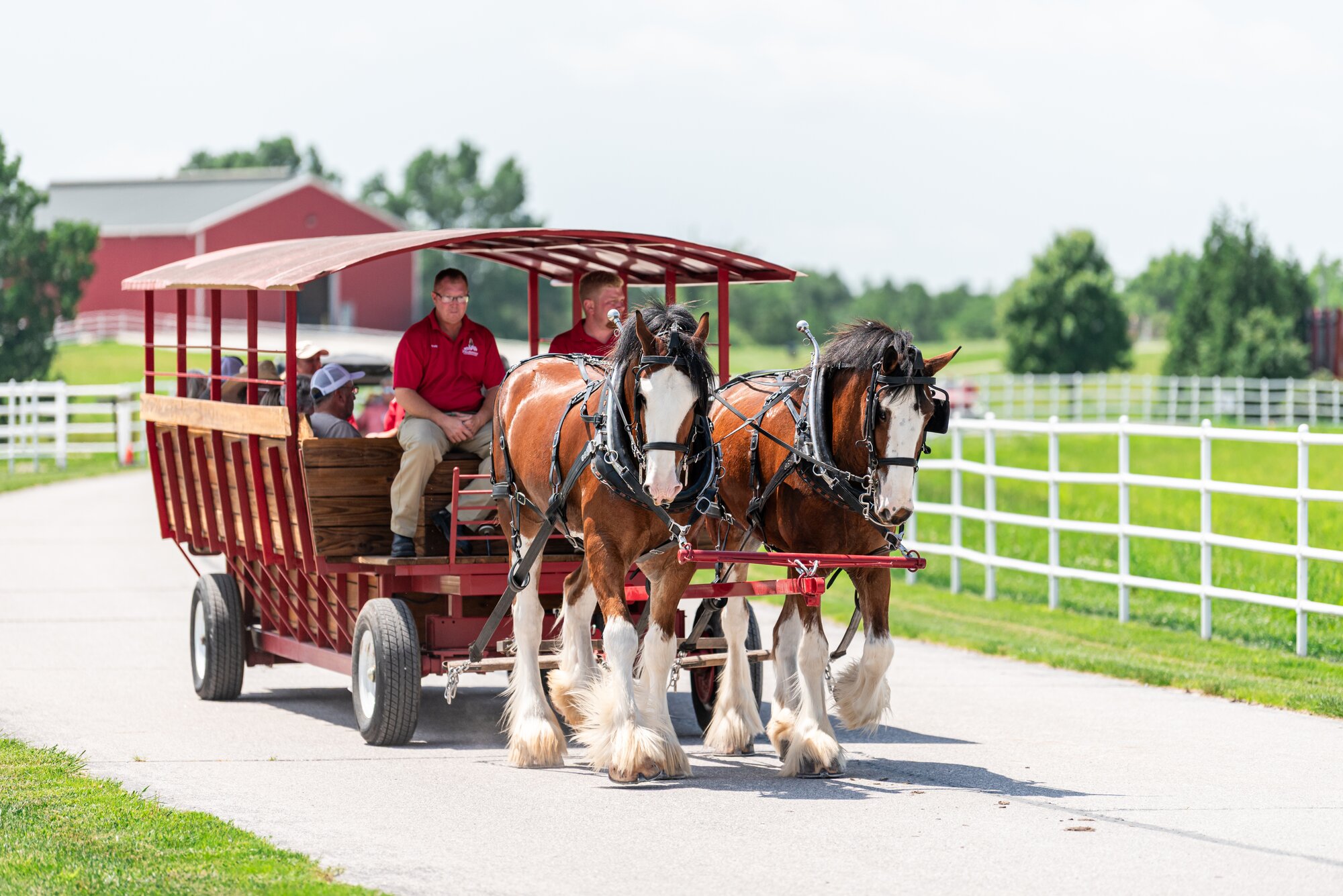 Tours and Experiences | Warm Springs Ranch