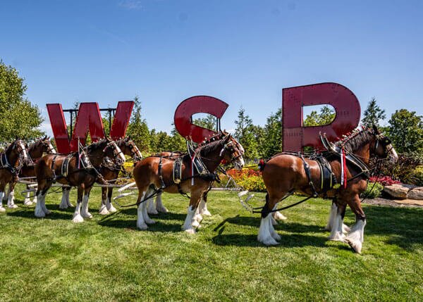 Warm Springs Ranch - Home of the Budweiser Clydesdales