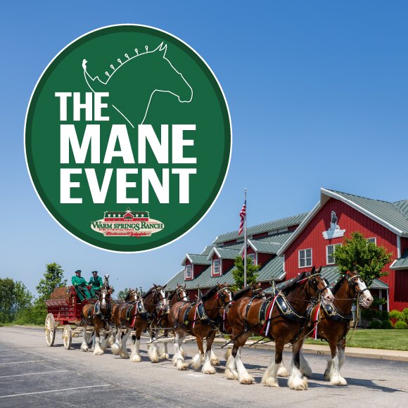 Tours and Experiences | Warm Springs Ranch