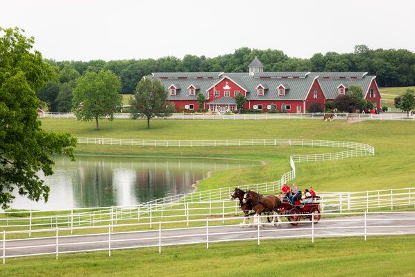 Warm Springs Ranch - Home of the Budweiser Clydesdales