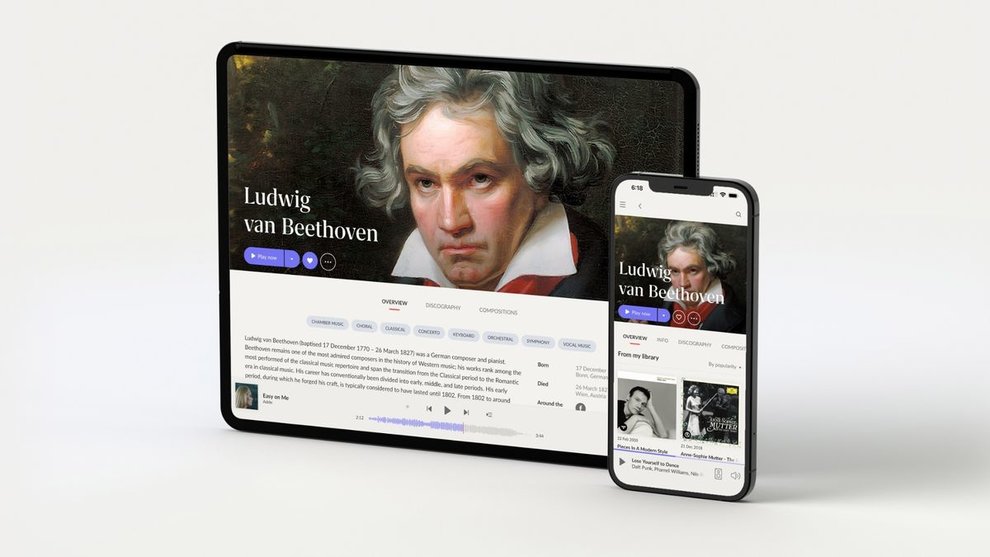 Roon Complete Guide to Music Streaming