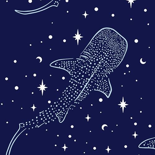 Starry Sharks