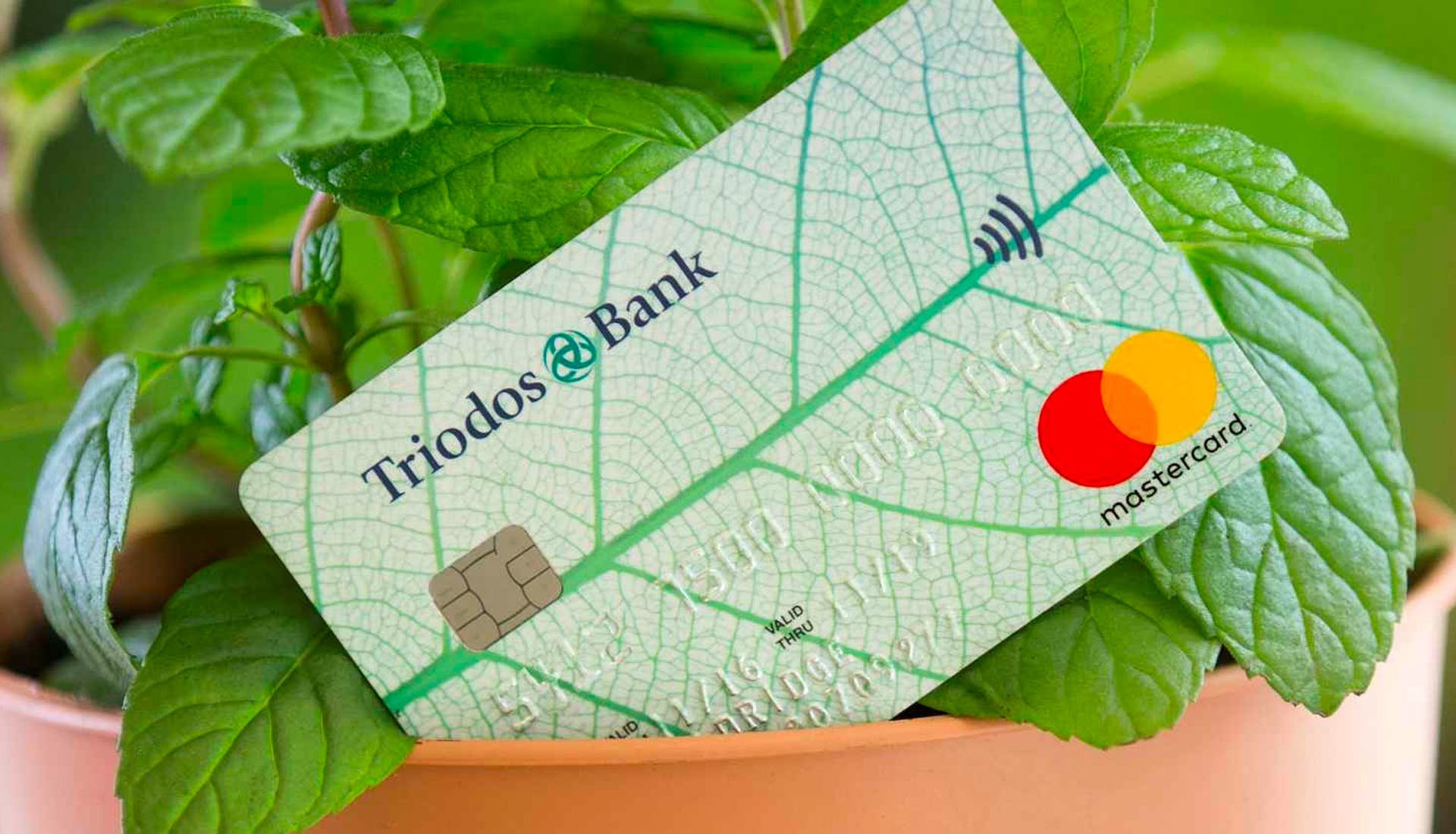 Triodos Bank | Our Partners | Veo