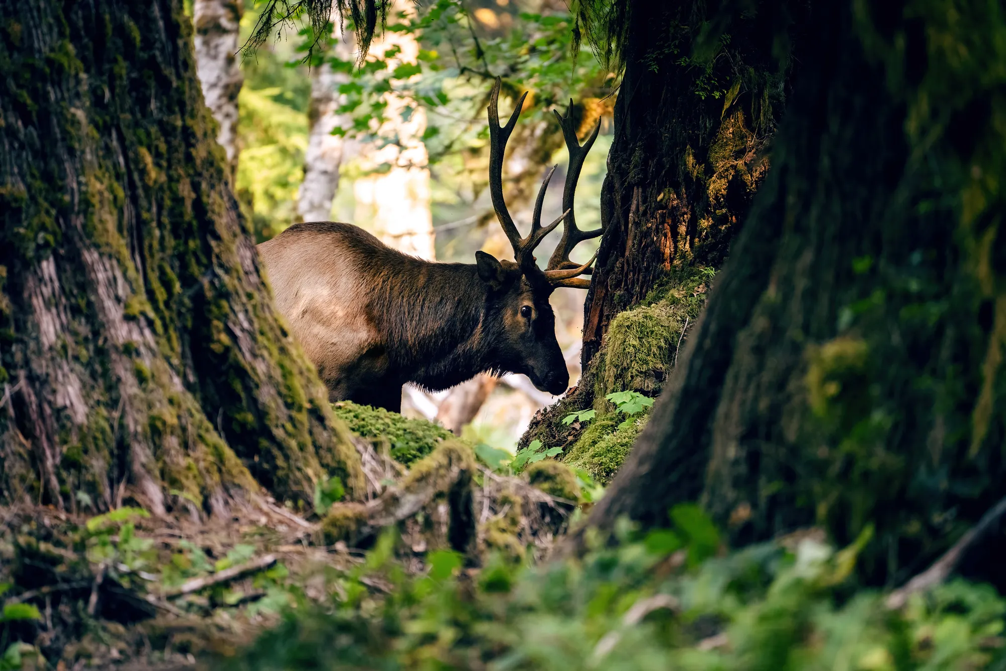 Public Lands Types | Better Trail