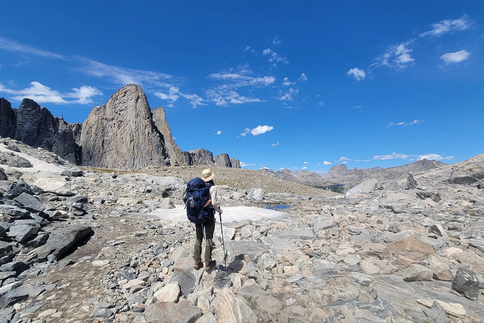 Zpacks Carbon Fiber Trekking Pole Review | Better Trail