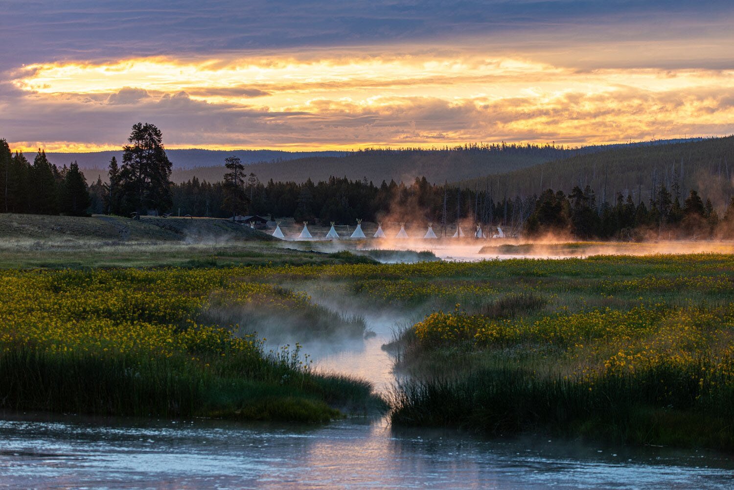 Public Lands are Native Lands: Yellowstone and Our Shared Future ...