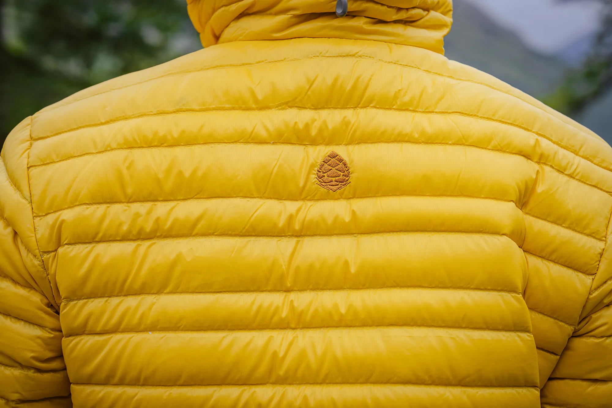 PFAS in Outdoor Gear, Explained | Better Trail