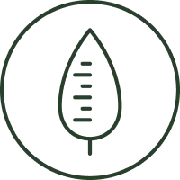 On Cloudhorizon Waterproof Hiking Shoe Review | Better Trail