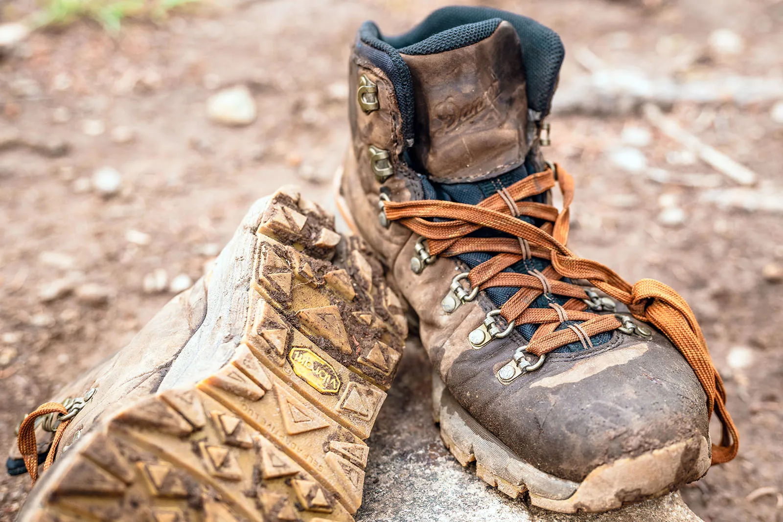 Danner Mountain 600 Leaf GTX Hiking Boot Review | Better Trail
