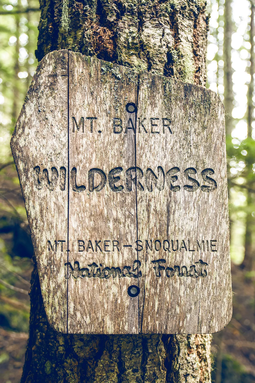 Wilderness, Explained | Better Trail