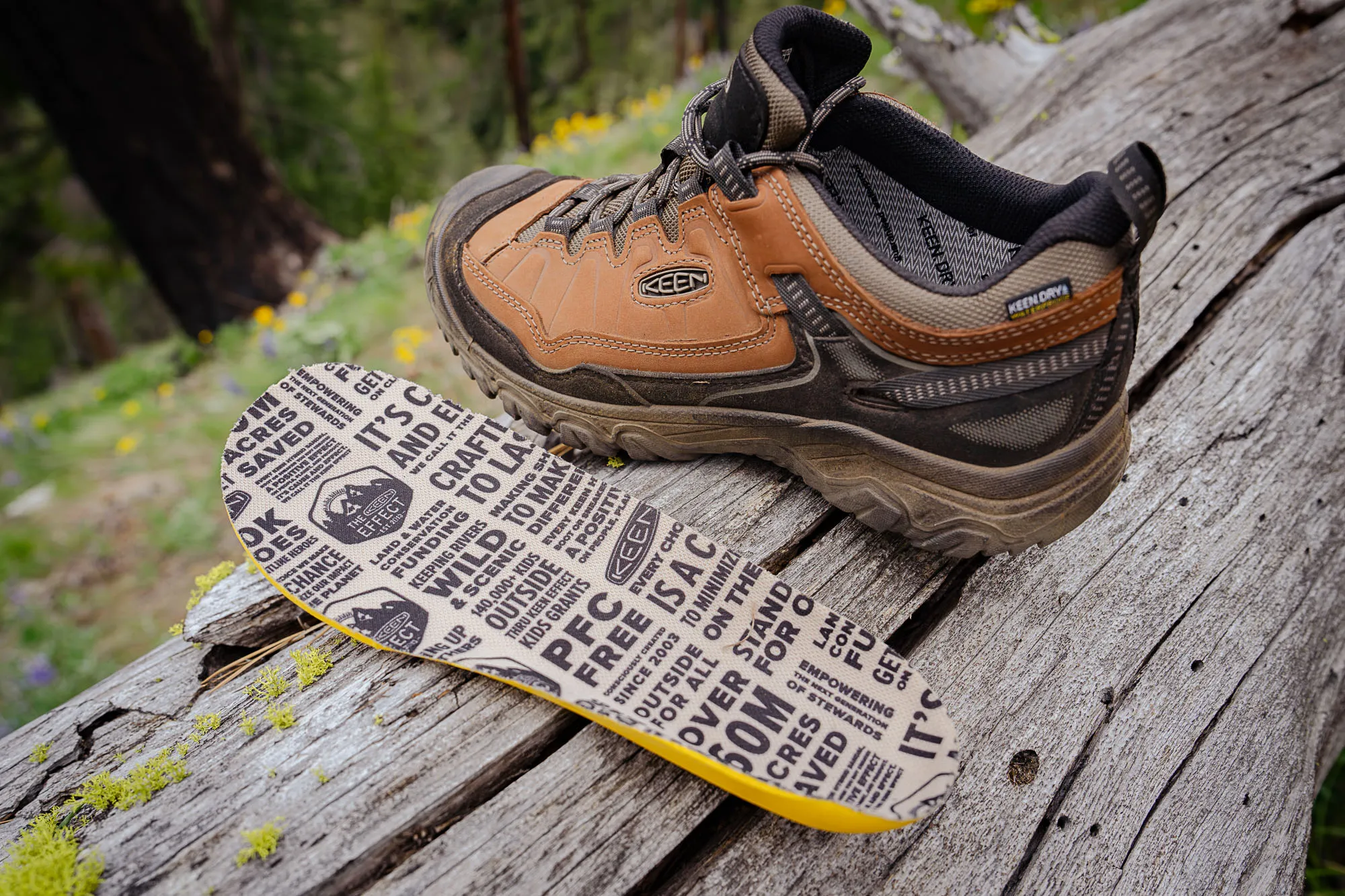 PFAS in Outdoor Gear, Explained | Better Trail