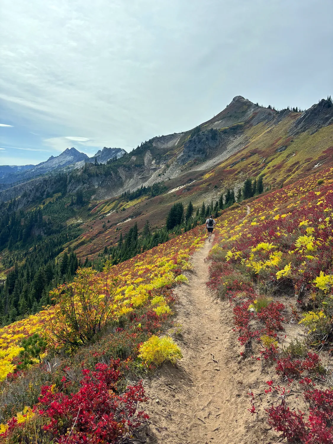 The Life of a Trail | Better Trail