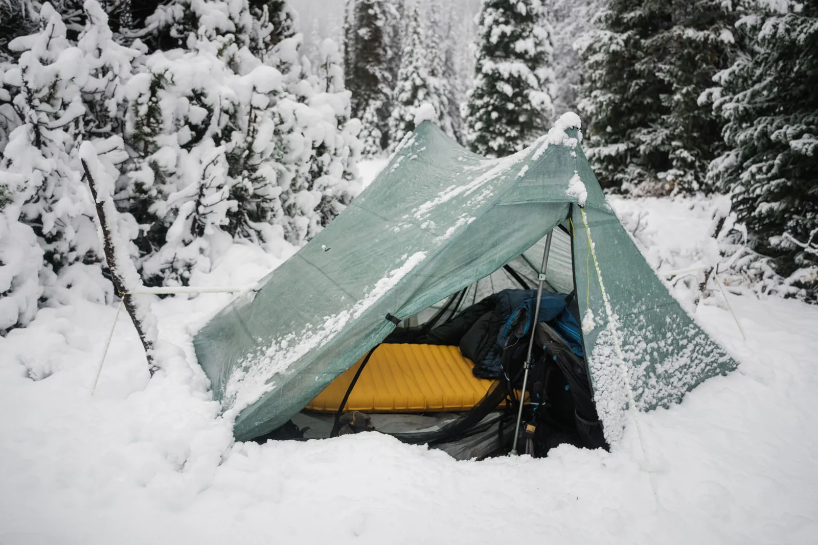 Zpacks Duplex Zip Tent Review | Better Trail