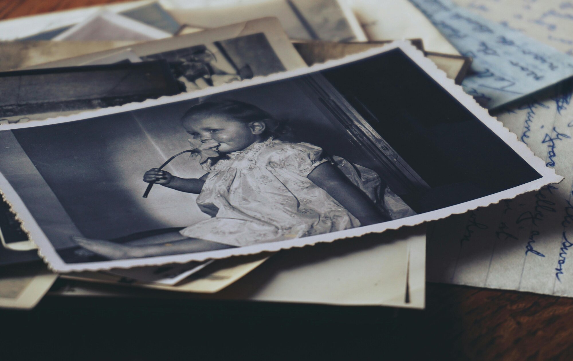 How to Make a Memorial Photo Book | Celebration of Life Photo Book Tips ...