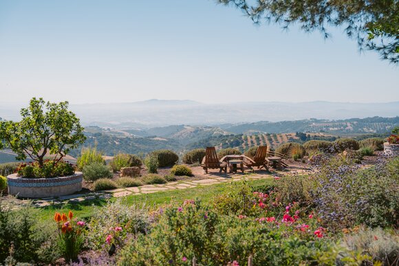 DAOU Vineyards | Summer 2024