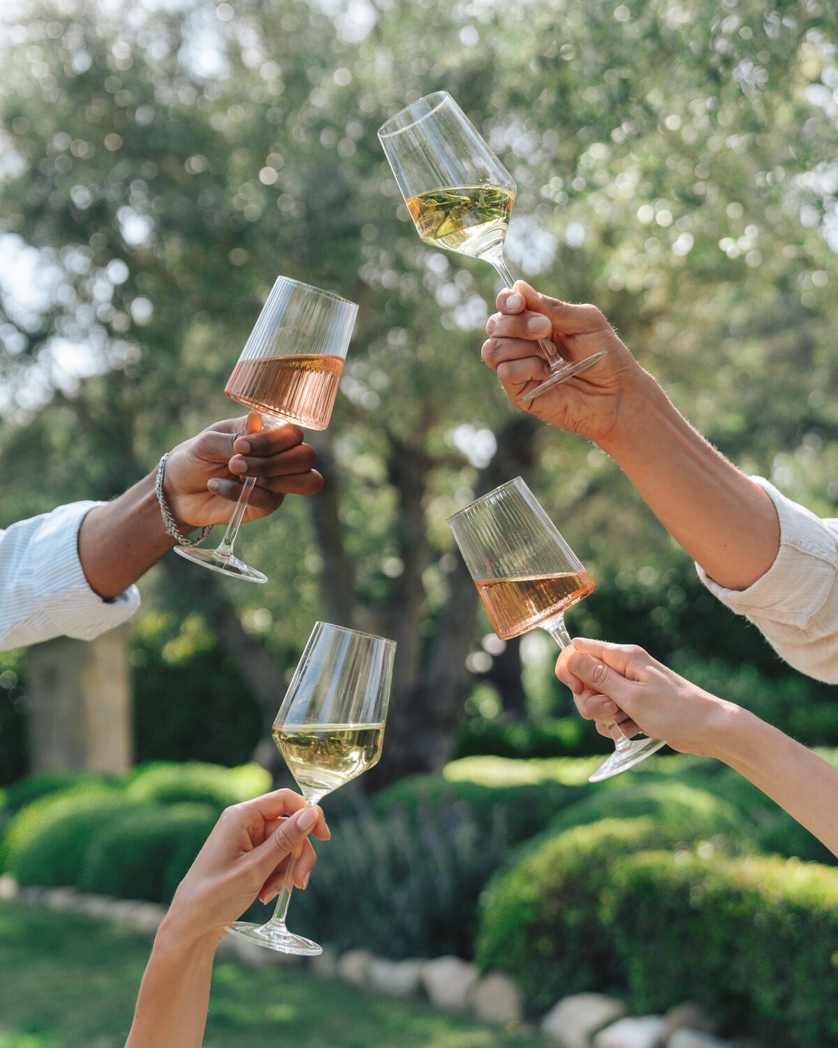 DAOU Vineyards | Stories: Summer on DAOU MOUNTAIN