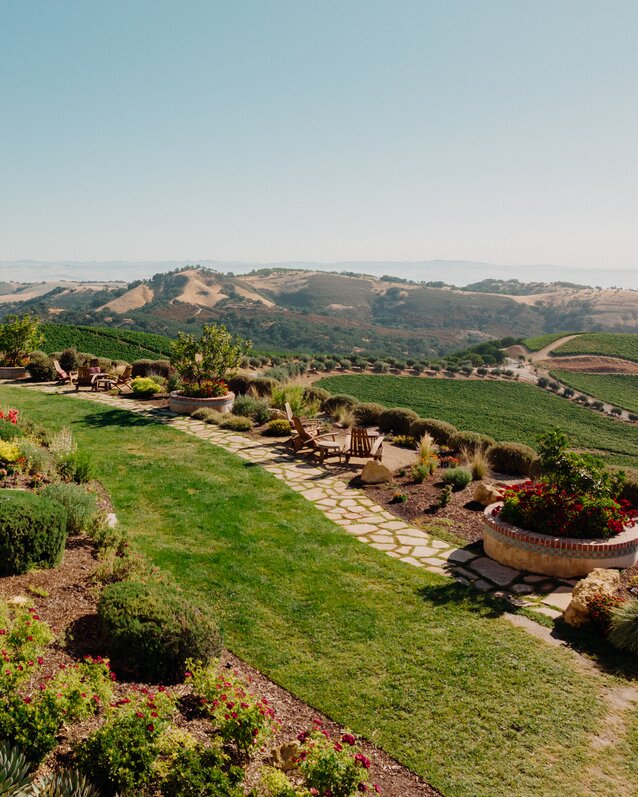DAOU Vineyards | Stories: Summer on DAOU MOUNTAIN