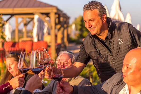 DAOU Vineyards | Stories: Summer on DAOU MOUNTAIN