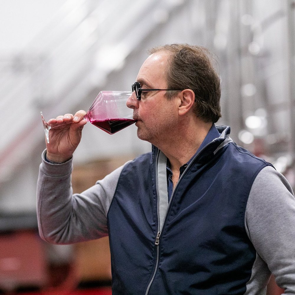 DAOU Vineyards | DAOU Plus