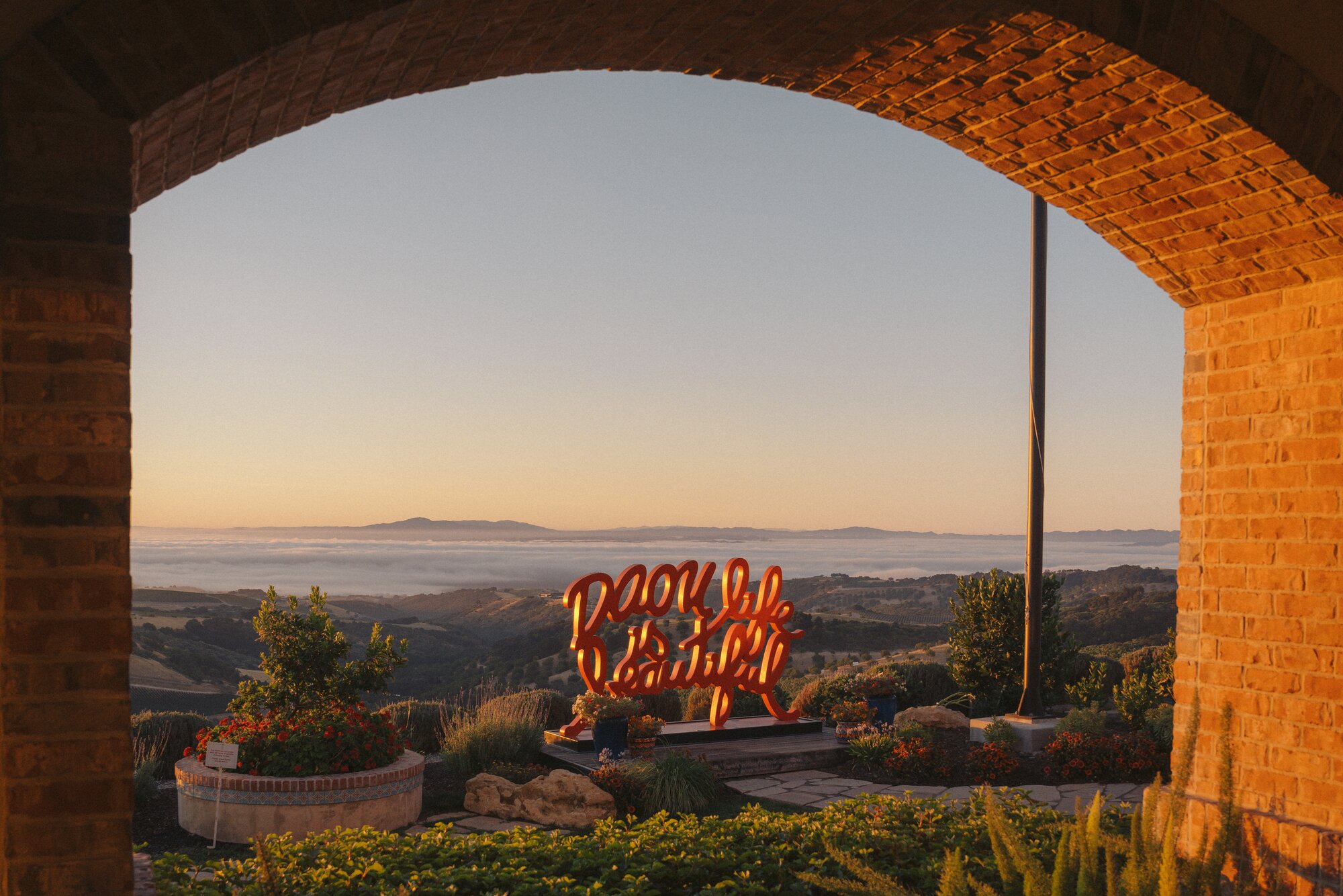DAOU Vineyards | Stories: Summer is Paso Robles