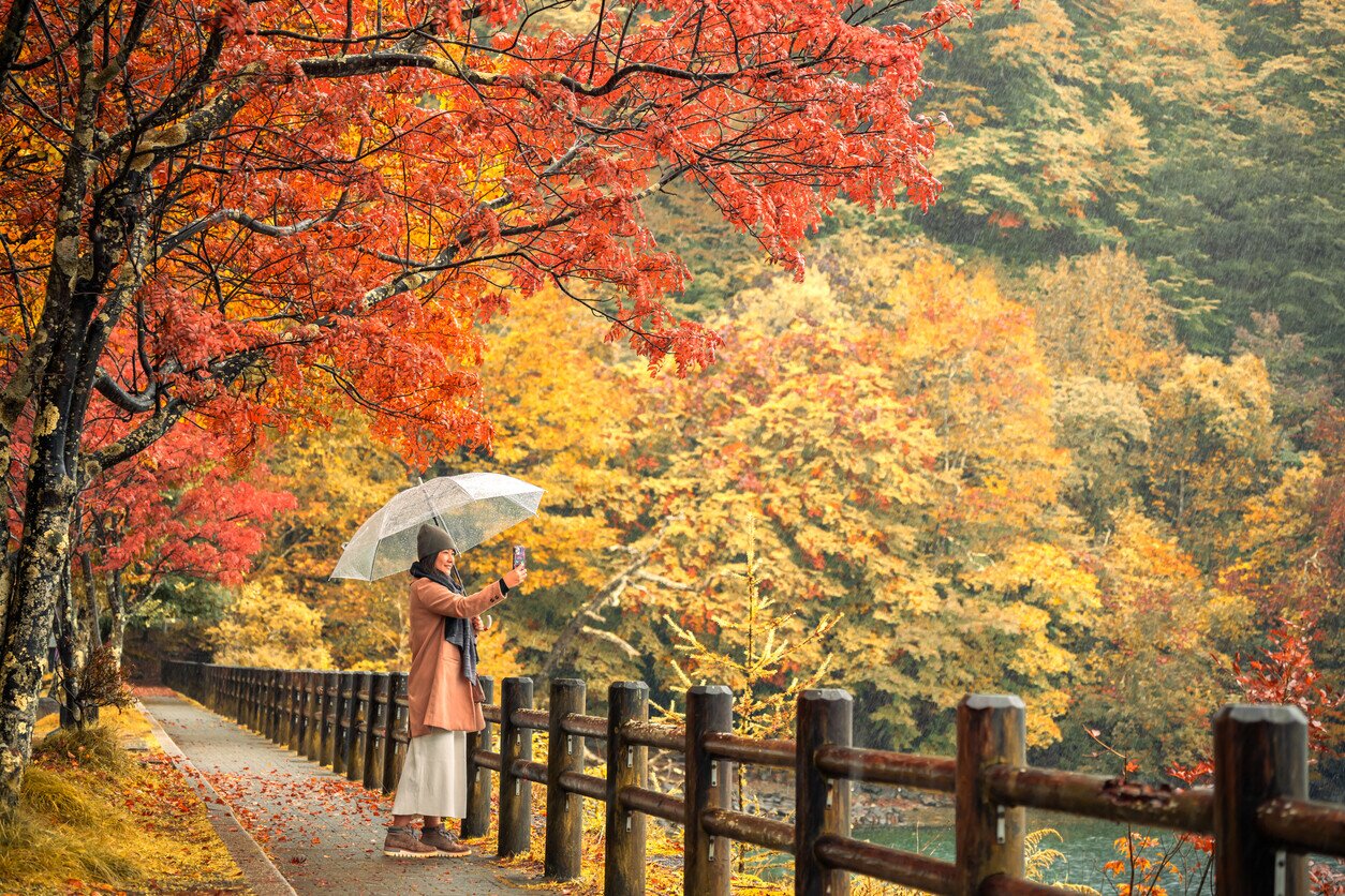 Wann ist die beste Reisezeit für Japan? | Das musst du wissen