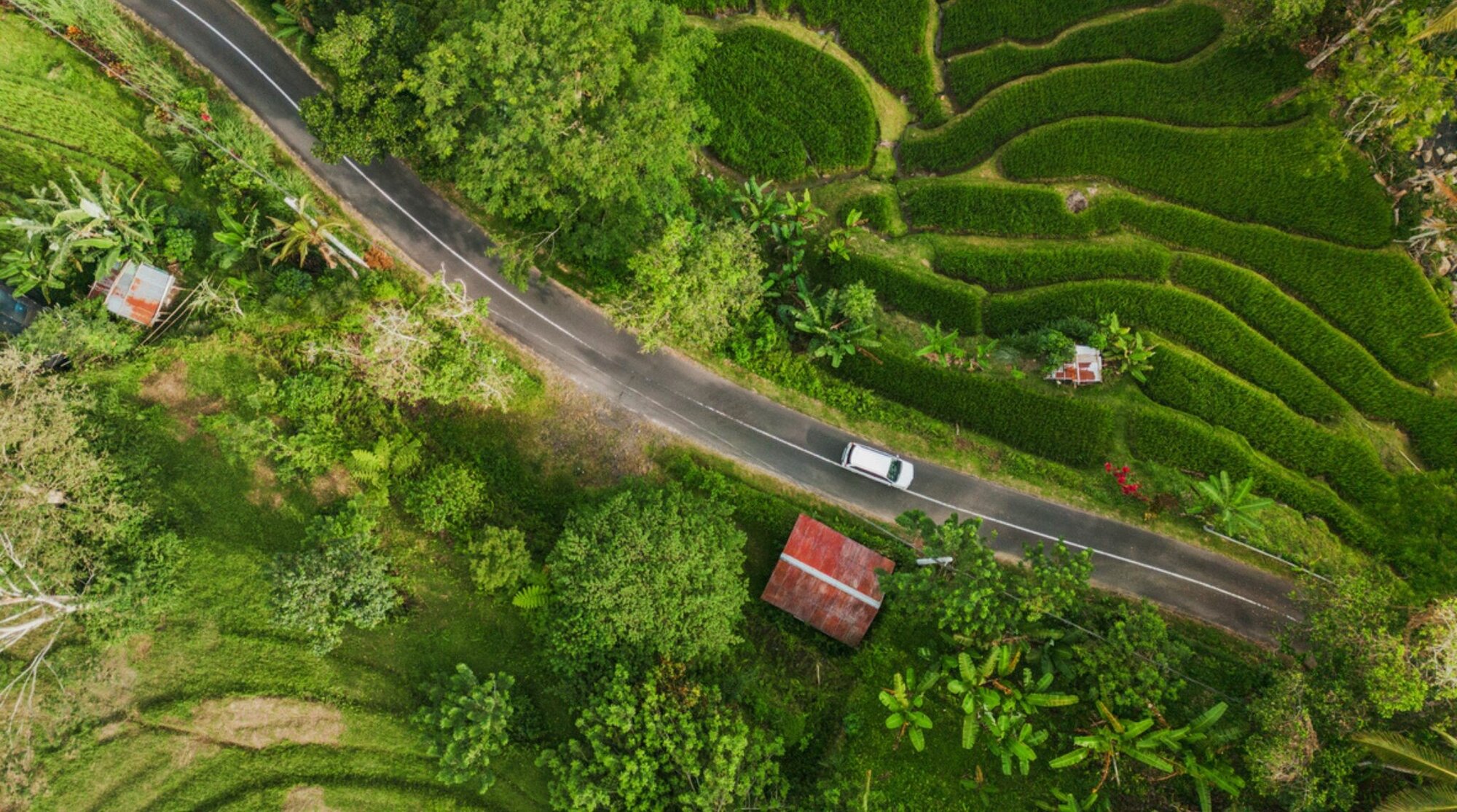 Comment se déplacer à Bali : Grab, GoJek, taxis