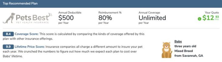 Is Cat Insurance Worth It? Ask An Expert | Pawlicy Advisor