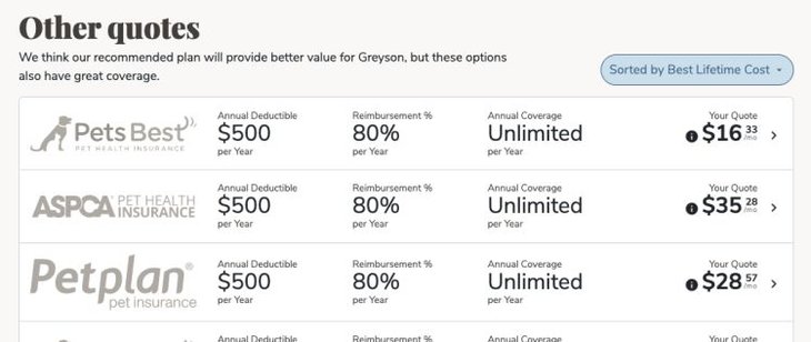 How to Compare Pet Insurance Plans & Find The Best Fit | Pawlicy Advisor