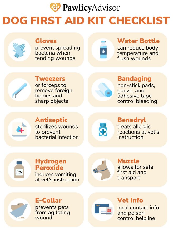 5 Veterinary Bulletin Board Ideas To Try In Your Office | Pawlicy Advisor