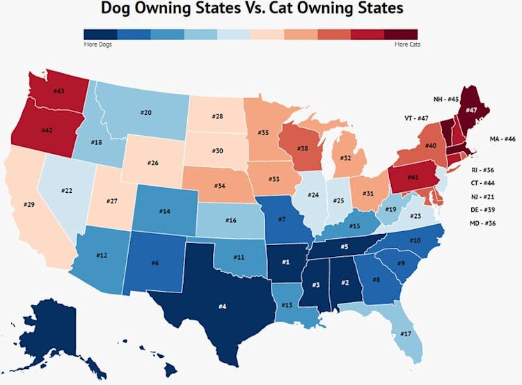 Pet Ownership Statistics by State, And So Much More (Updated 2020 ...