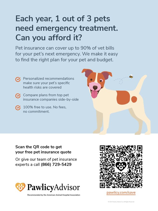 5 Veterinary Bulletin Board Ideas To Try In Your Office | Pawlicy Advisor